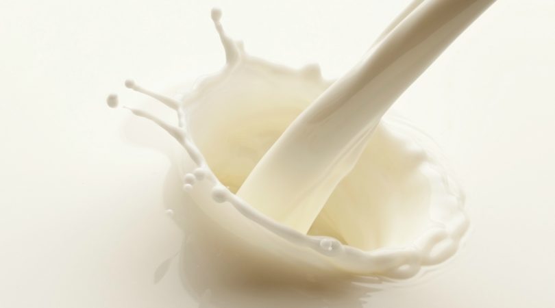 Continente reformula gama de leite de marca própria - Distribuição Hoje