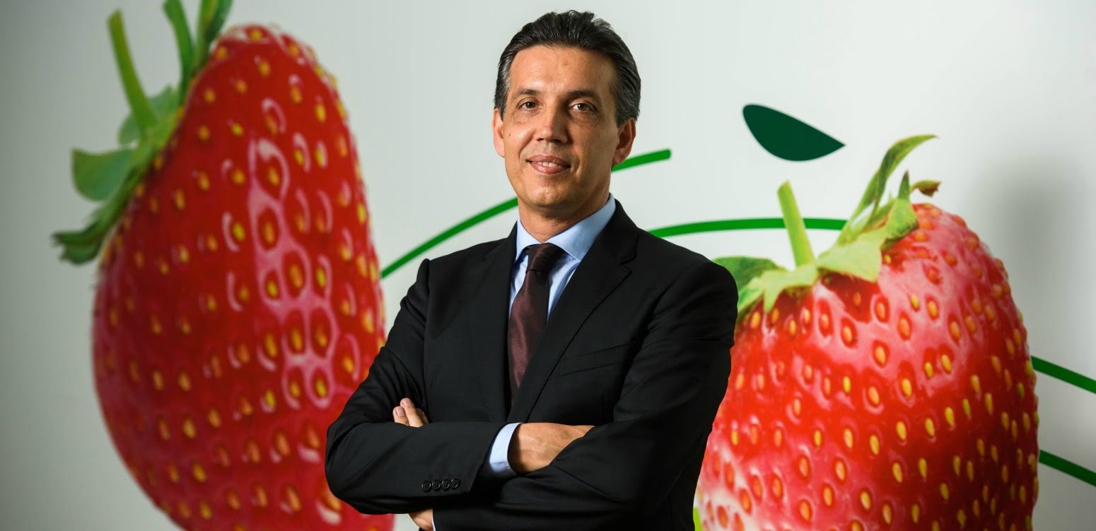 Grupo Ardian compra Frulact - Distribuição Hoje