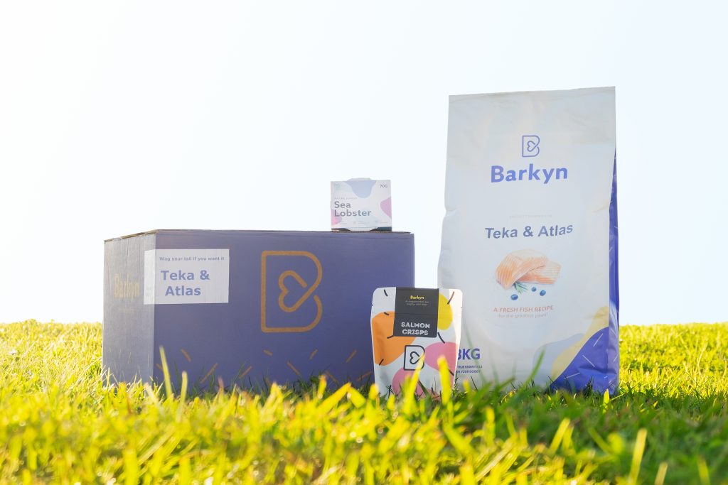 Portuguesa Barkyn lança-se no mercado alemão - Distribuição Hoje