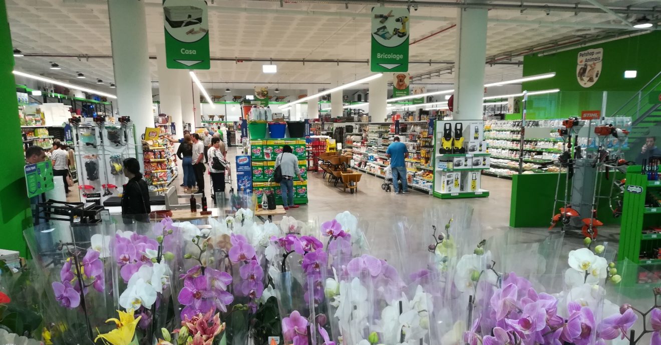 Agriloja atinge os 50 milhões em vendas - Distribuição Hoje
