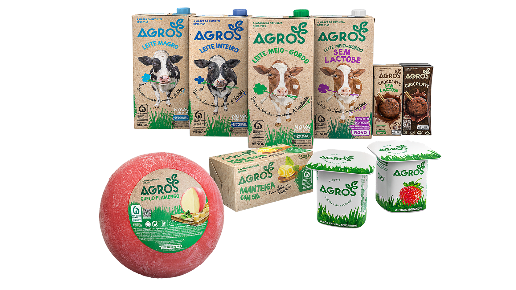 Agros-Gama-2022_Leite_manteiga_queijo_iogurte_IE_CL - Distribuição Hoje