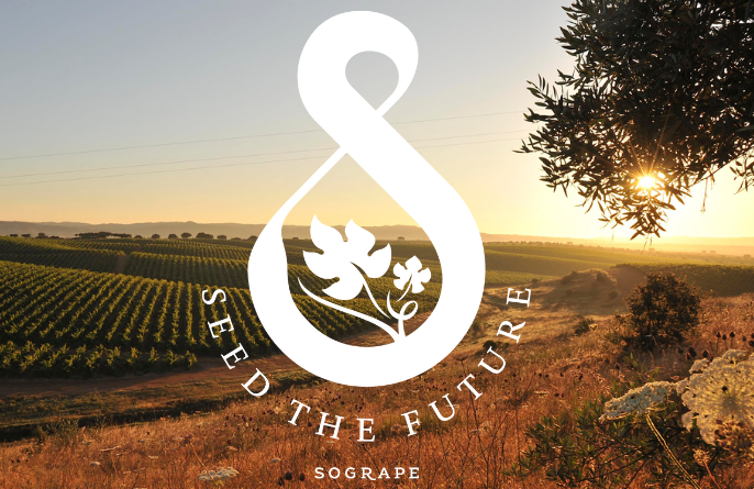 Sogrape destaca-se internacionalmente pelo investimento em logística ...